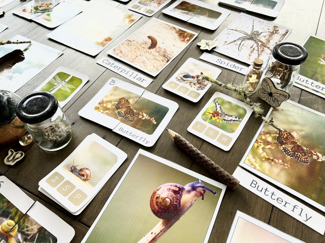 Insect Morning Basket - Montessori - Reggio Inspired - Etsy