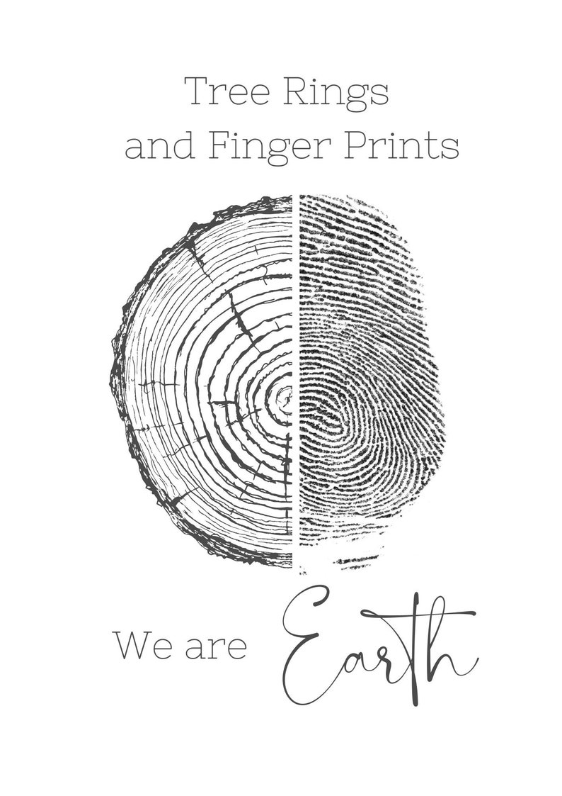 NATURE Inspired Classroom POSTERS BUNDLE Reggio Emillia - Etsy