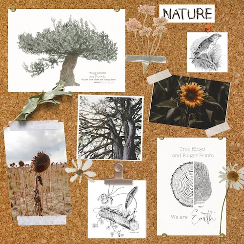 NATURE Inspired Classroom POSTERS BUNDLE Reggio Emillia - Etsy