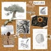 Reggio Emilia Inspired NATURE FLASH CARDS Real Life Nature Learning ...