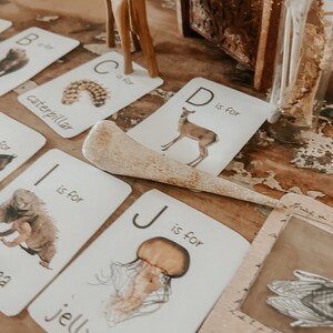 A-Z Animal Alphabet FLASHCARDS- Reggio Inspired- Wildschool - Etsy