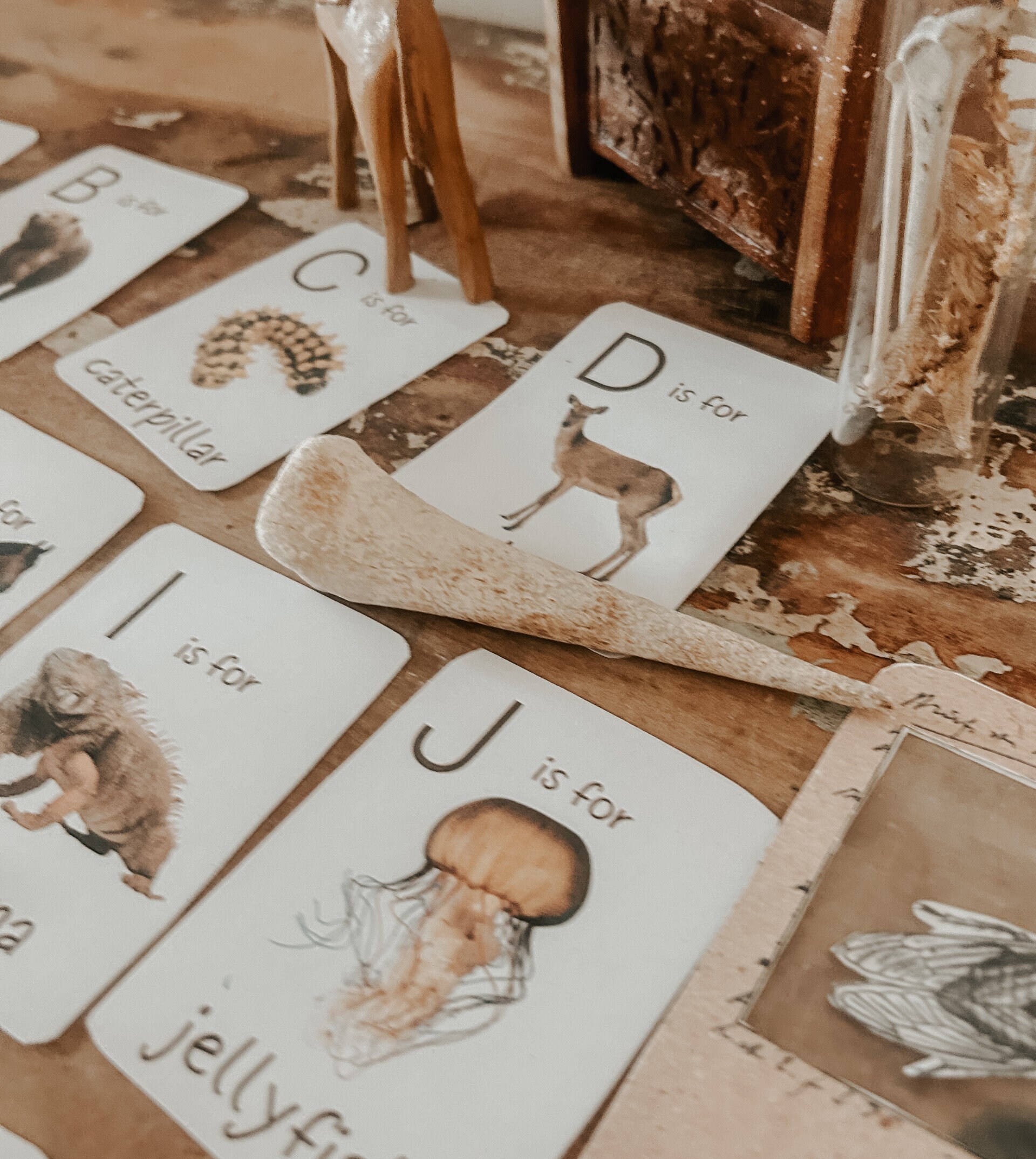 A-Z Animal Alphabet FLASHCARDS Reggio Inspired Wildschool - Etsy Australia