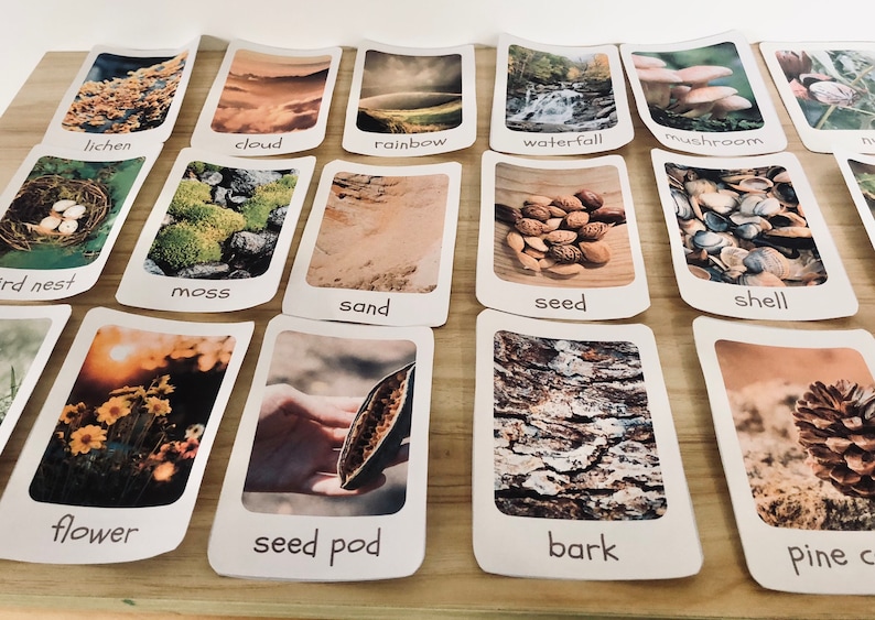 Reggio Emilia Inspired NATURE FLASH CARDS Real Life Nature - Etsy