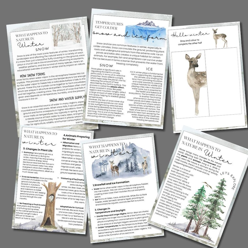 Winter Nature Journal With PLR /mrr-commercial Use - Etsy