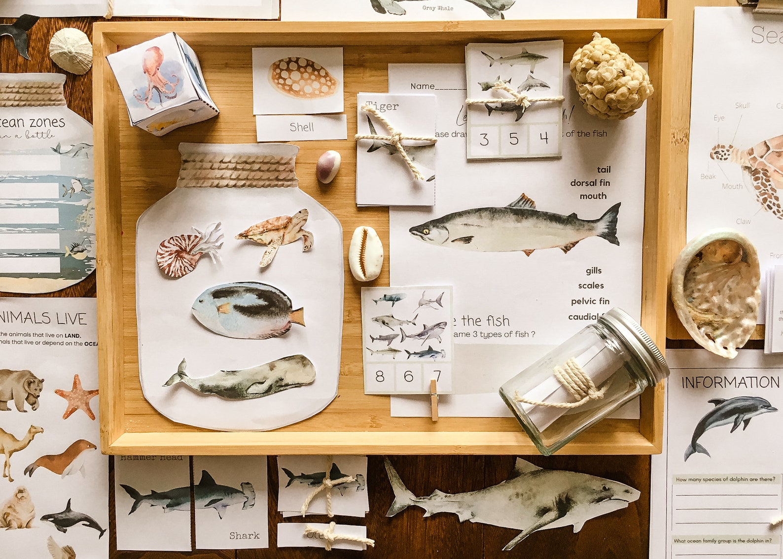 SEA Animal Mega Bundle - MULTI AGE Pack - Etsy