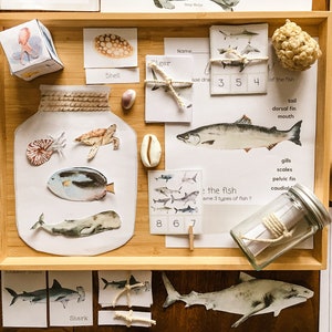 SEA Animal Mega Bundle - MULTI AGE Pack - Etsy