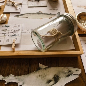 SEA Animal Mega Bundle - MULTI AGE Pack - Etsy