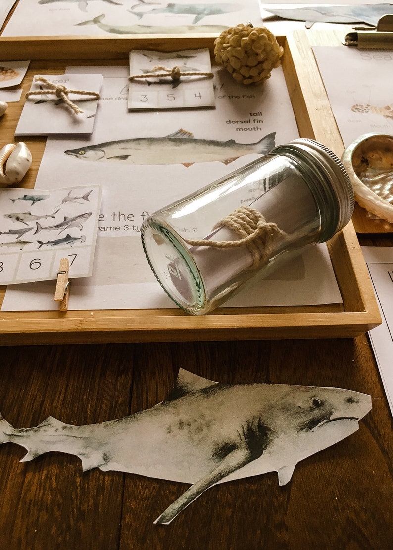 SEA Animal Mega Bundle - MULTI AGE Pack - Etsy