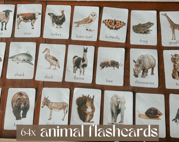 Montessori Farm Animal Match Miniature Animals With Matching Cards 2 ...