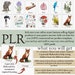 PLR - 11x Common NATURE Inspired Colour 3-part Flashcards - Commercial ...