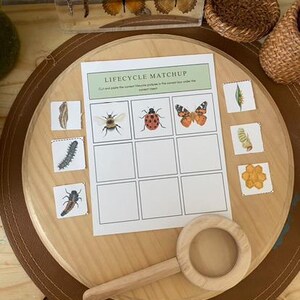 Insect Unit Study | Nature School - Etsy