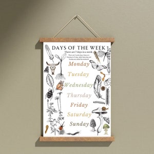 NATURE INSPIRED Educational Poster Pack - Nature School- Homeschool ...