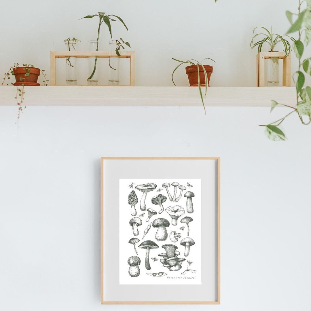 REGGIO INSPIRED Nature Classroom Posters Vintage X3 WILDSCHOOL - Etsy