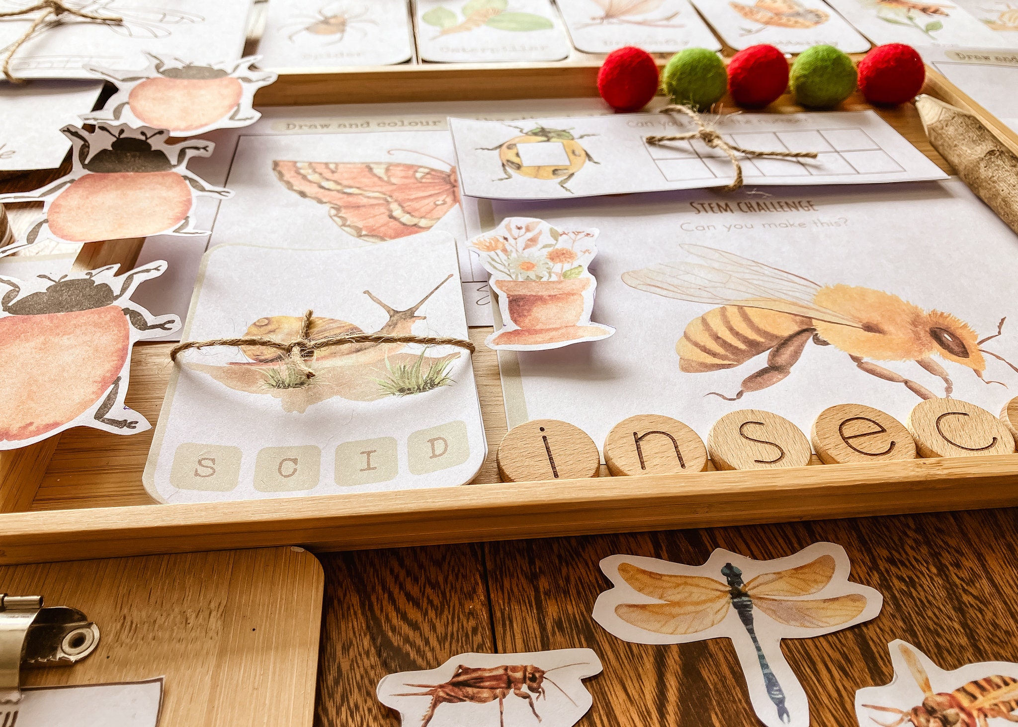 Mini Beast Insect MORNING BASKET BUNDLE - Etsy Australia