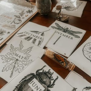 NATURE INSPIRED Educational Poster Pack - Nature School- Homeschool ...