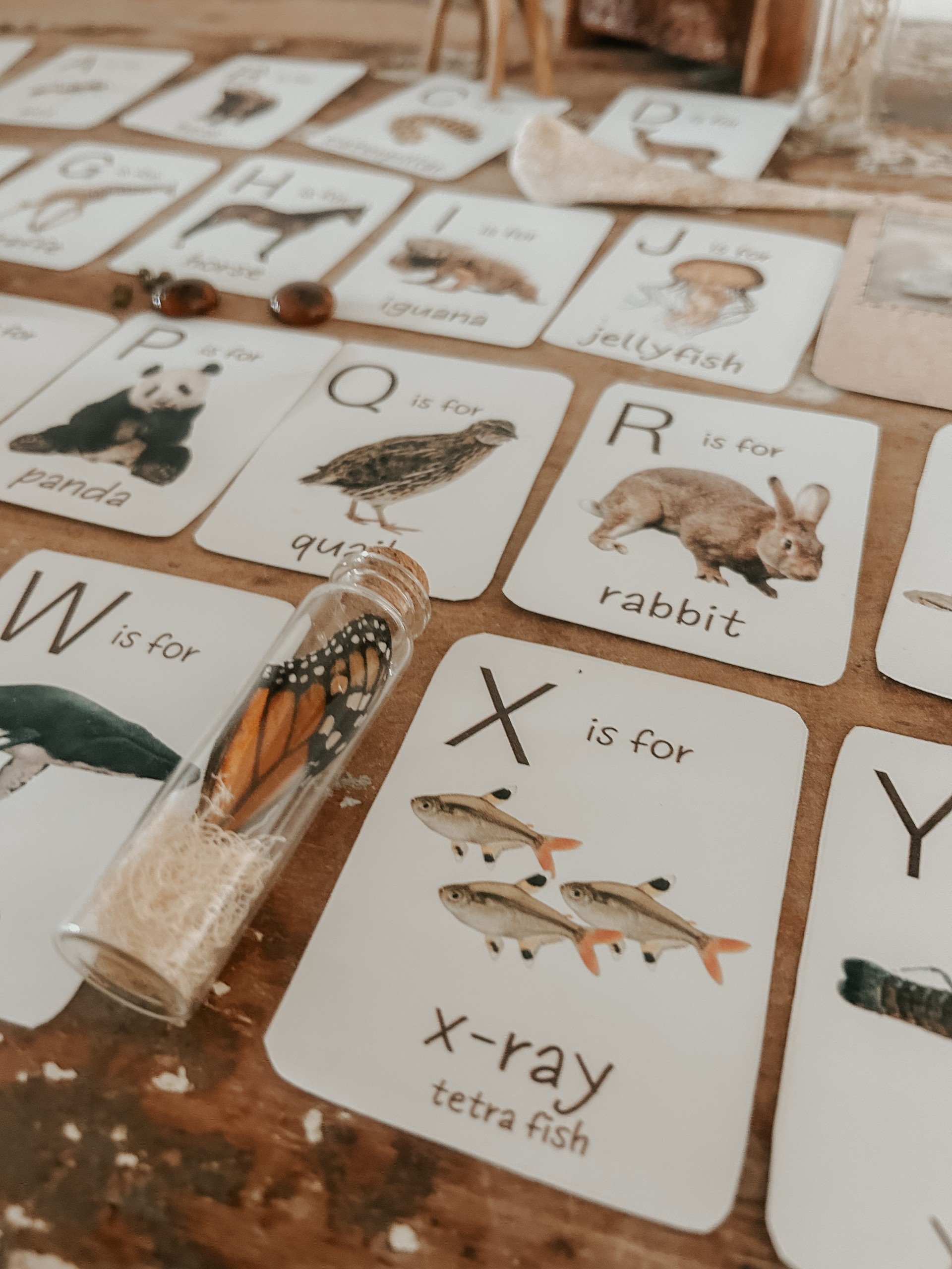 A-Z Animal Alphabet FLASHCARDS Reggio Inspired Wildschool - Etsy Australia