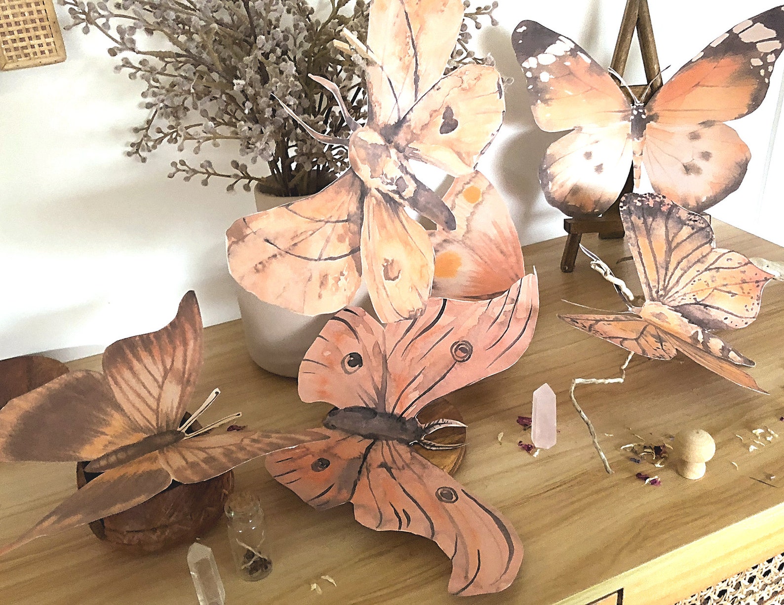 6x Jumbo Moth & Butterfly Props | Add Ons to Your Butterfly or Moth ...