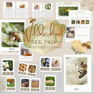 BEE STUDY - Morning Basket - Reggio Inspired - Montessori - Etsy