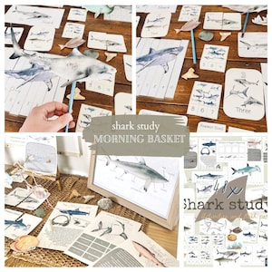 Morning Basket BUNDLE - Nature Inspired - Etsy