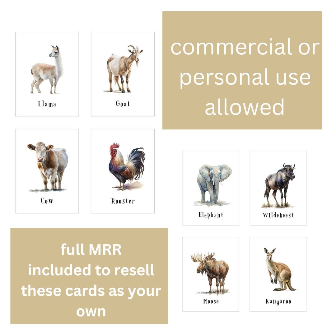 30 WILD Animal Flashcards - MRR/PLR Commercial Use Allowed - Etsy