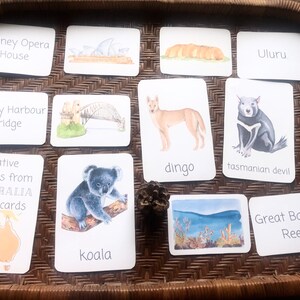 AUSTRALIA Flashcards |VOCABULARY - Ausisie Native Animal | Morning ...