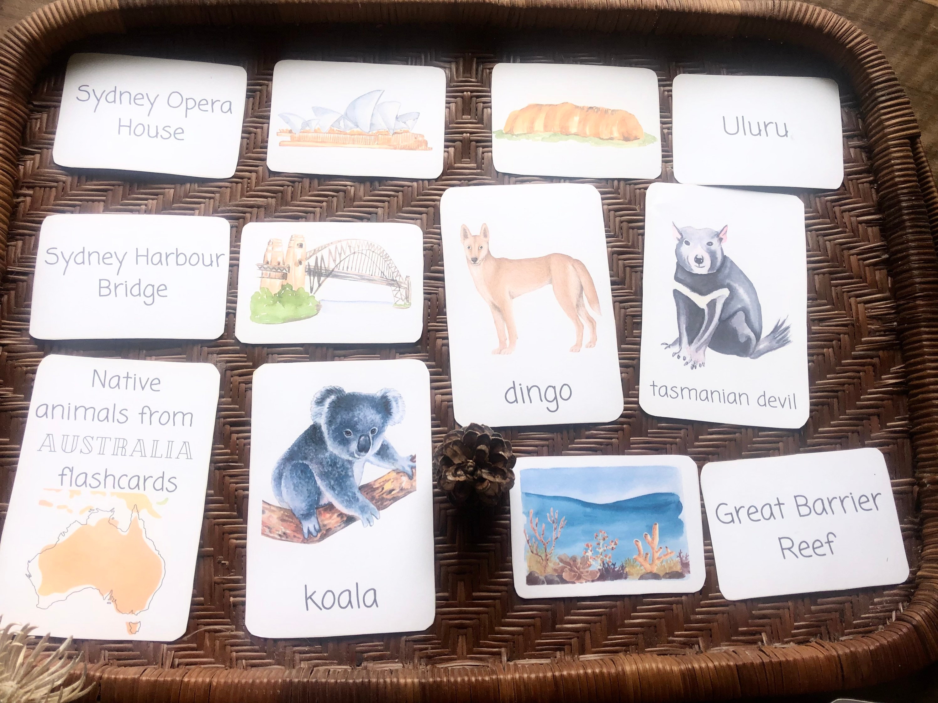 AUSTRALIA Flashcards VOCABULARY Ausie Native Animal A-Z - Etsy Australia