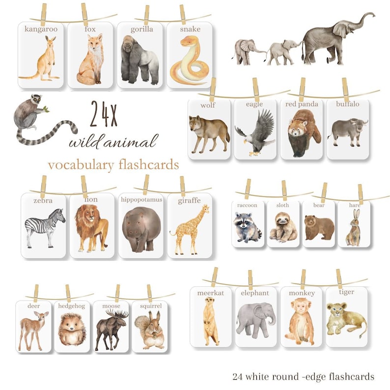 24x Wild Animal Vocabulary Flashcards - Etsy
