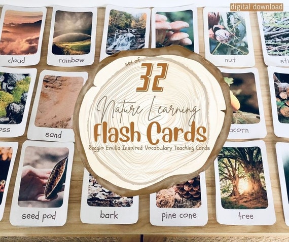 Reggio Emilia Inspired NATURE FLASH CARDS Real Life Nature - Etsy
