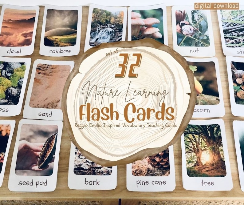 Reggio Emilia Inspired NATURE FLASH CARDS- Real Life ~ Nature Learning ...