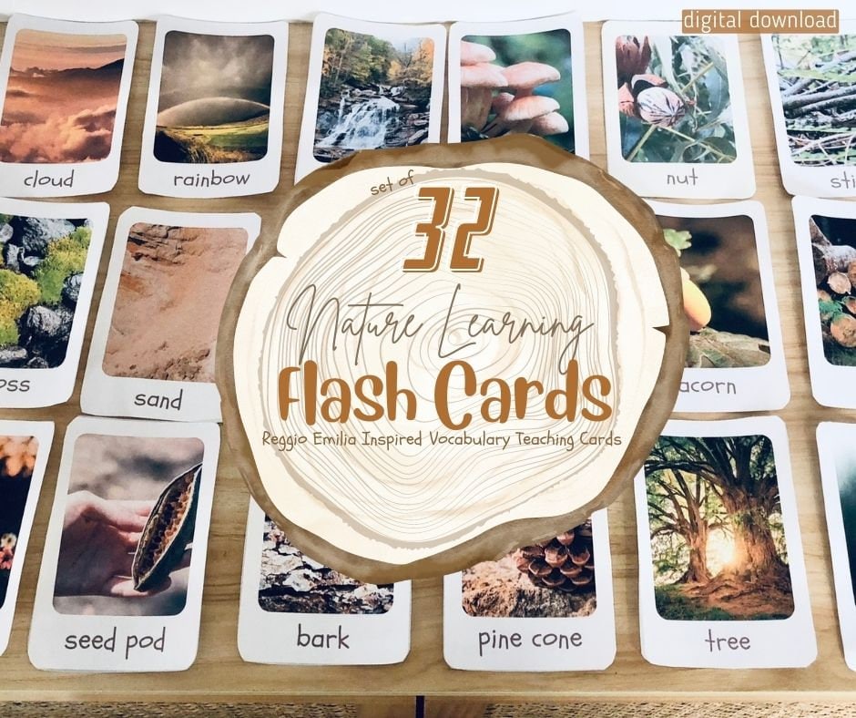 Reggio Emilia Inspired NATURE FLASH CARDS Real Life Nature - Etsy Australia