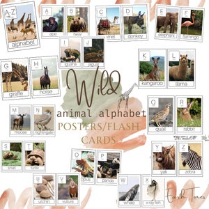 Reggio Inspired Mega Bundle VOL2 | Nature Classroom|14 Sets - Etsy