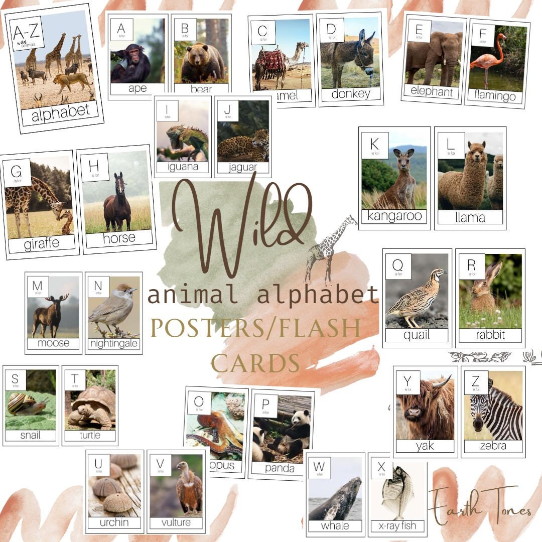 Reggio Inspired Mega Bundle VOL2 Nature Classroom14 Sets - Etsy Australia