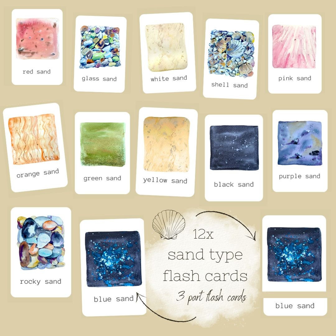 Beach Sand Types Poster and Flash Card Pack Morning Basket - Etsy