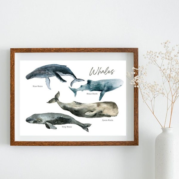 Whale Poster - Etsy