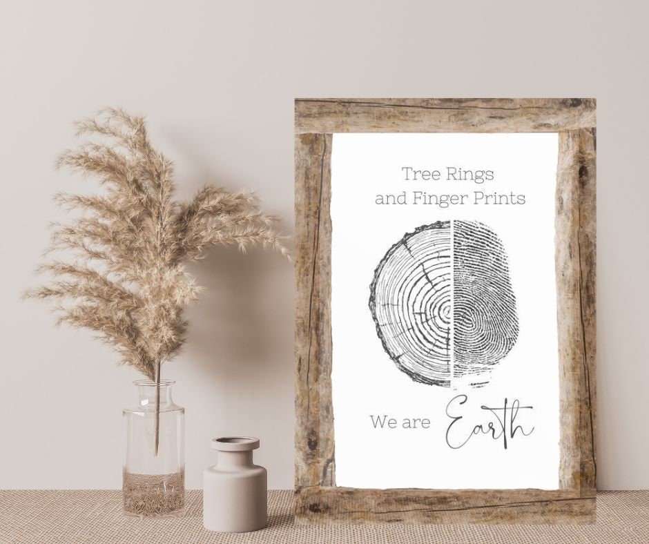 NATURE CLASSROOM Poster | Reggio Emillia Inspired |forest School ...
