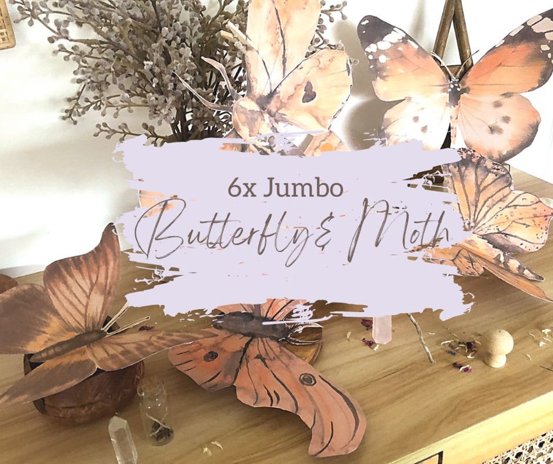6x Jumbo Moth & Butterfly Props | Add Ons to Your Butterfly or Moth ...
