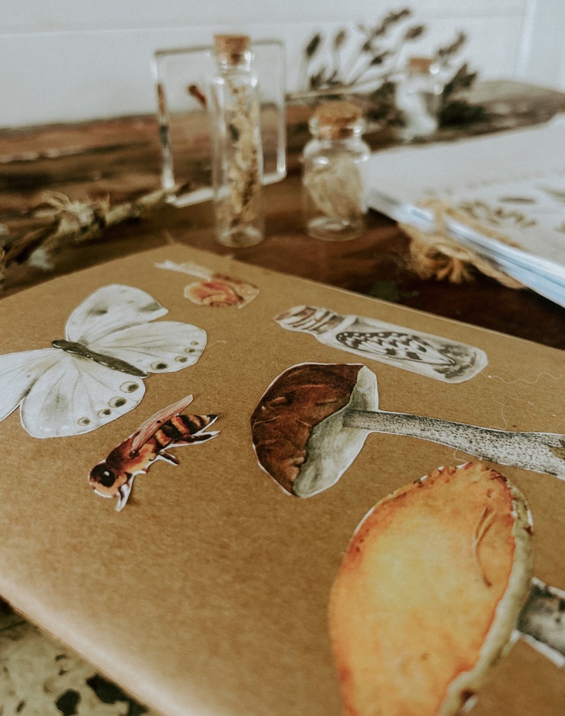 DIY Nature Stickers - 125 Pack - Etsy