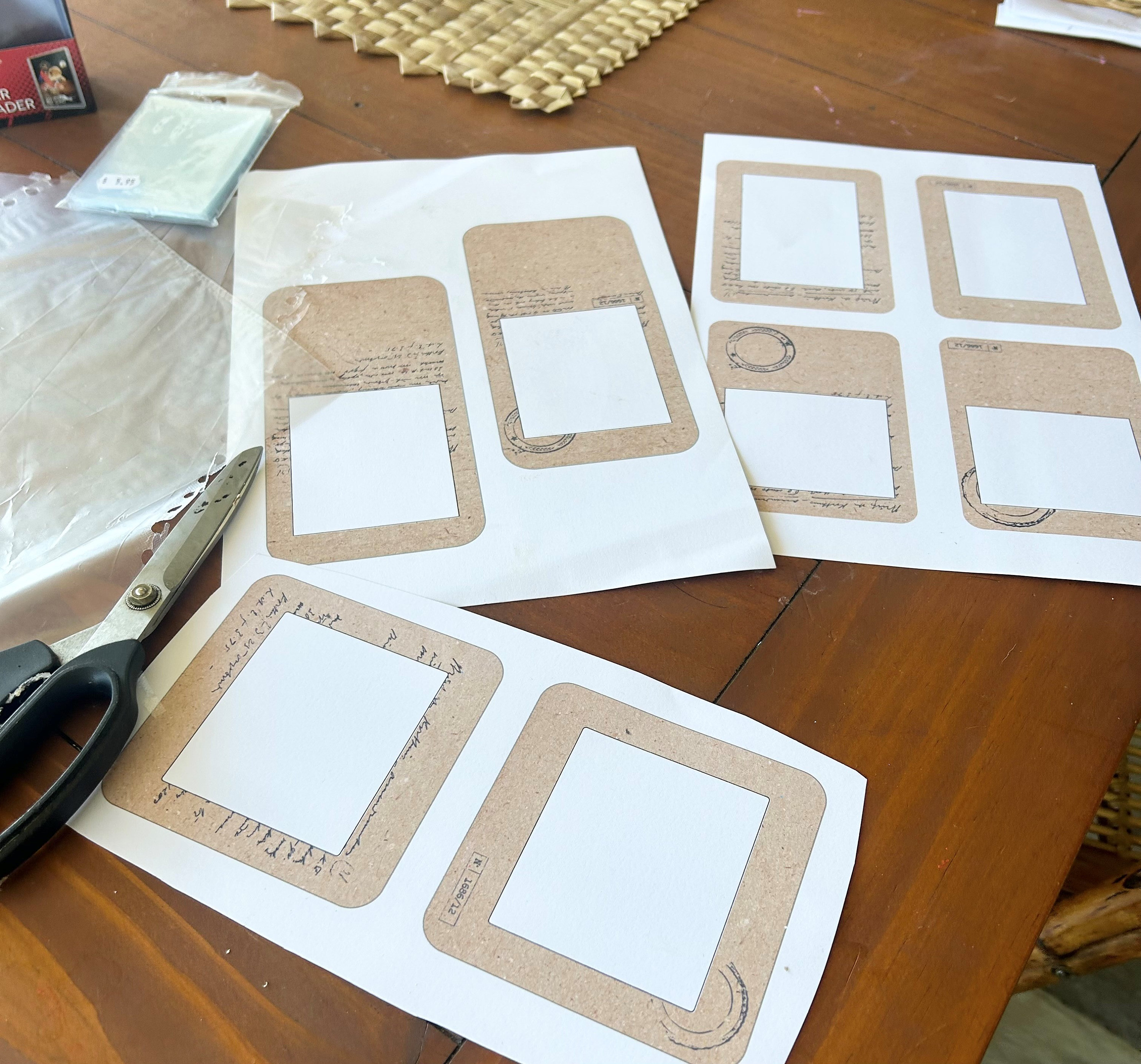 DIY Specimen Slides Wildschool Reggio Emillia - Etsy Australia