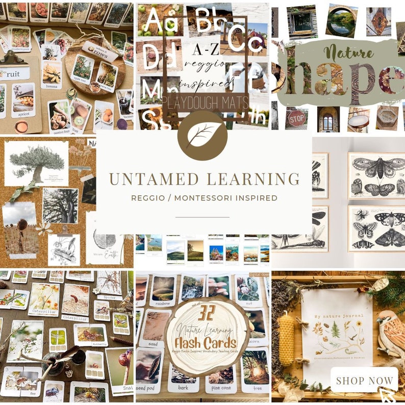 Reggio Inspired MEGA BUNDLE - Nature Classroom / Homeschool Starter ...