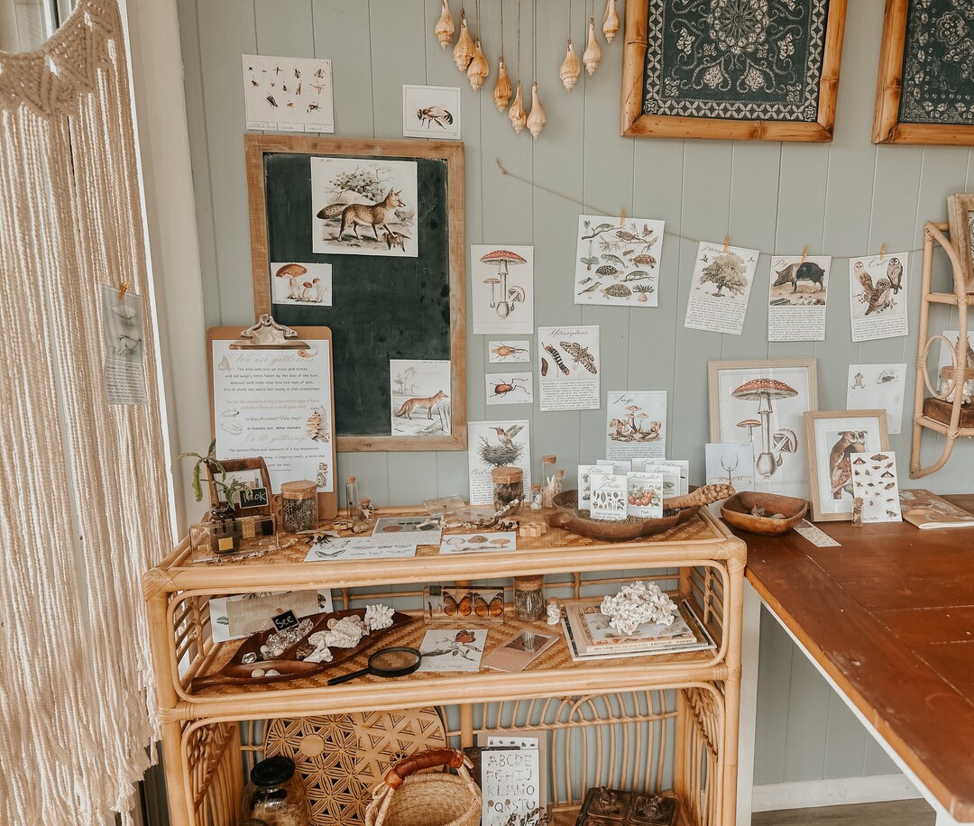 Little Naturalist DECOR Pack - A Charlotte Mason Inspired Curio ...