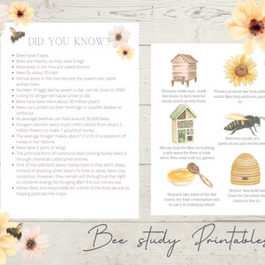 Natural Bee Study Printable Pack of 12 - Etsy