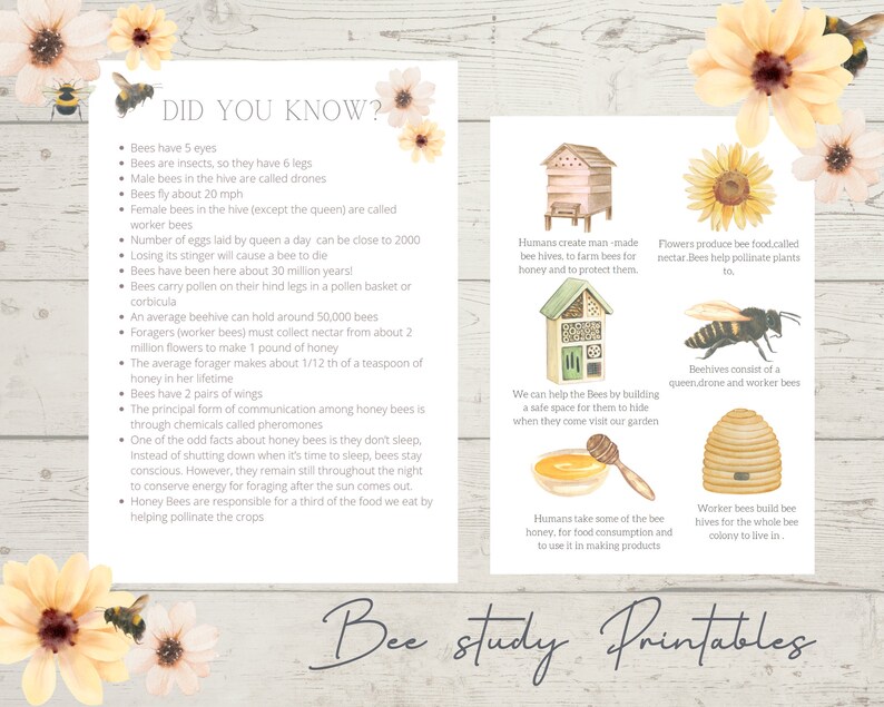 Natural Bee Study Printable Pack of 12 - Etsy