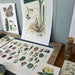 Vintage Botanic Classroom Decor - Charlotte Mason - Reggio Emillia - Etsy