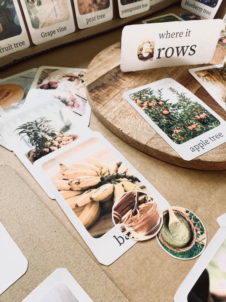 Reggio Inspired FRUIT and Its Trees FLASH CARDS - Etsy