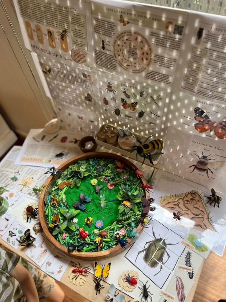 Insect Unit Study | Nature School |summer Study - Etsy