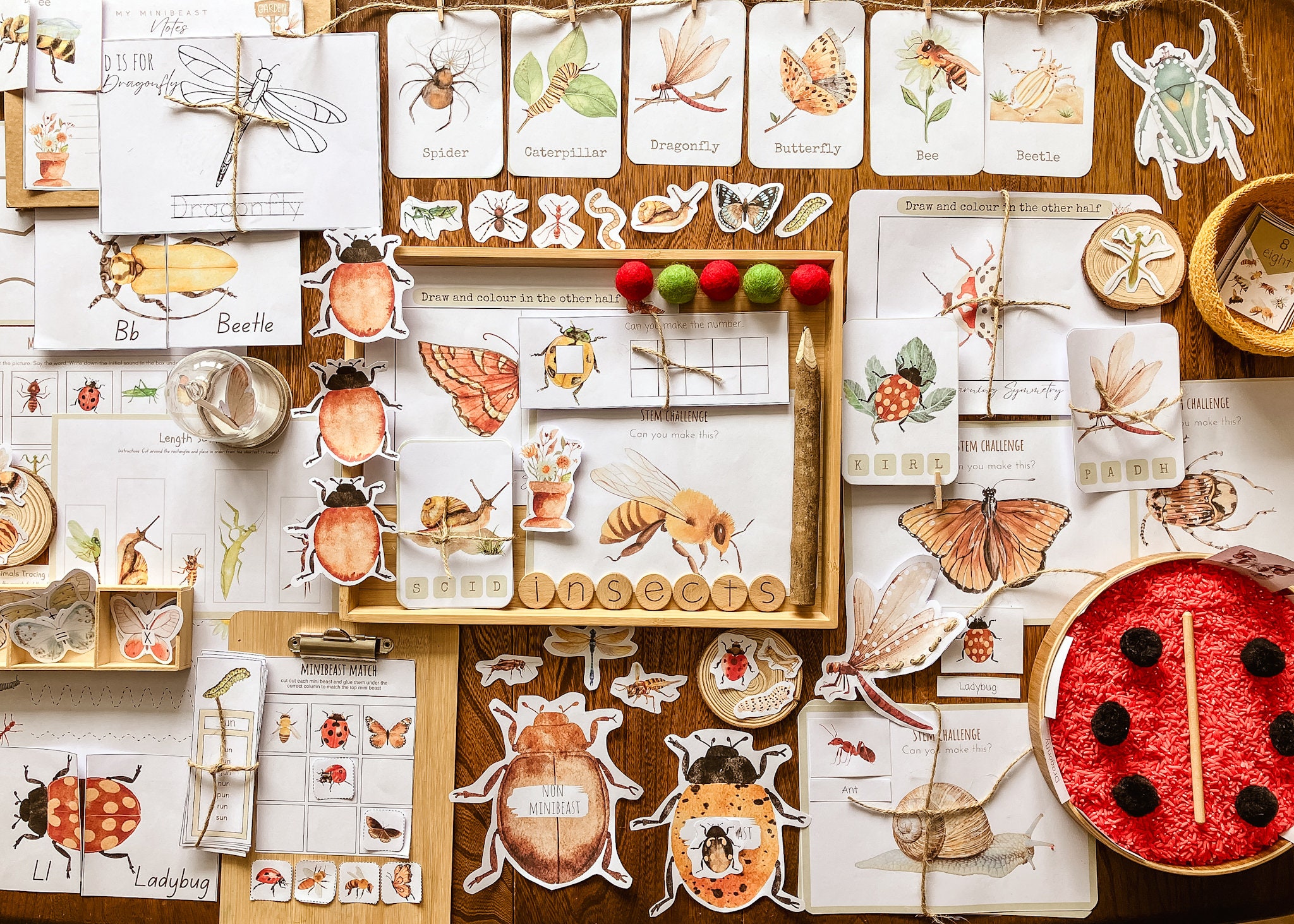 Commercial Use , Kids Early Learning Insect Pack , Resale Plr - Etsy