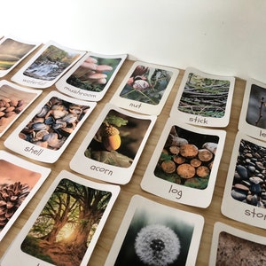Reggio Emilia Inspired NATURE FLASH CARDS- Real Life ~ Nature Learning ...