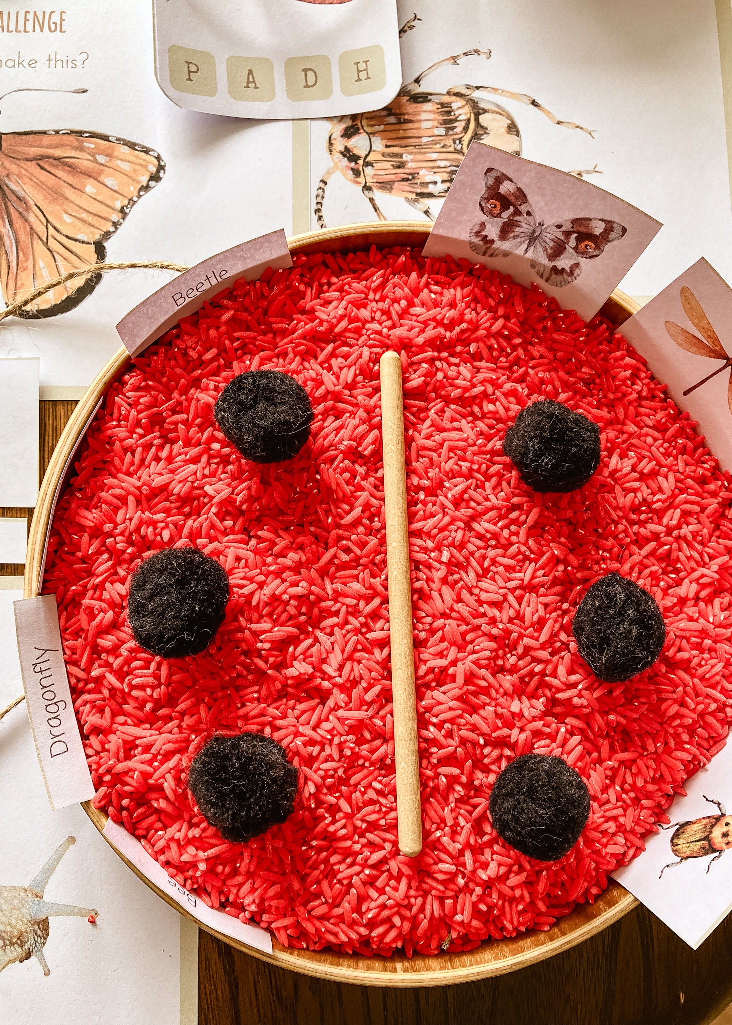 Mini Beast Insect MORNING BASKET BUNDLE - Etsy