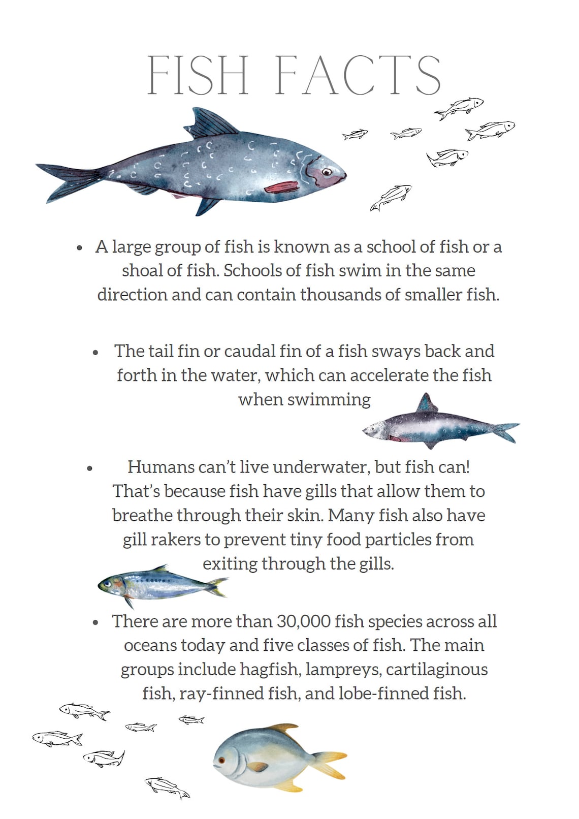 2 X Natural Learning Fish Printable Set - Etsy