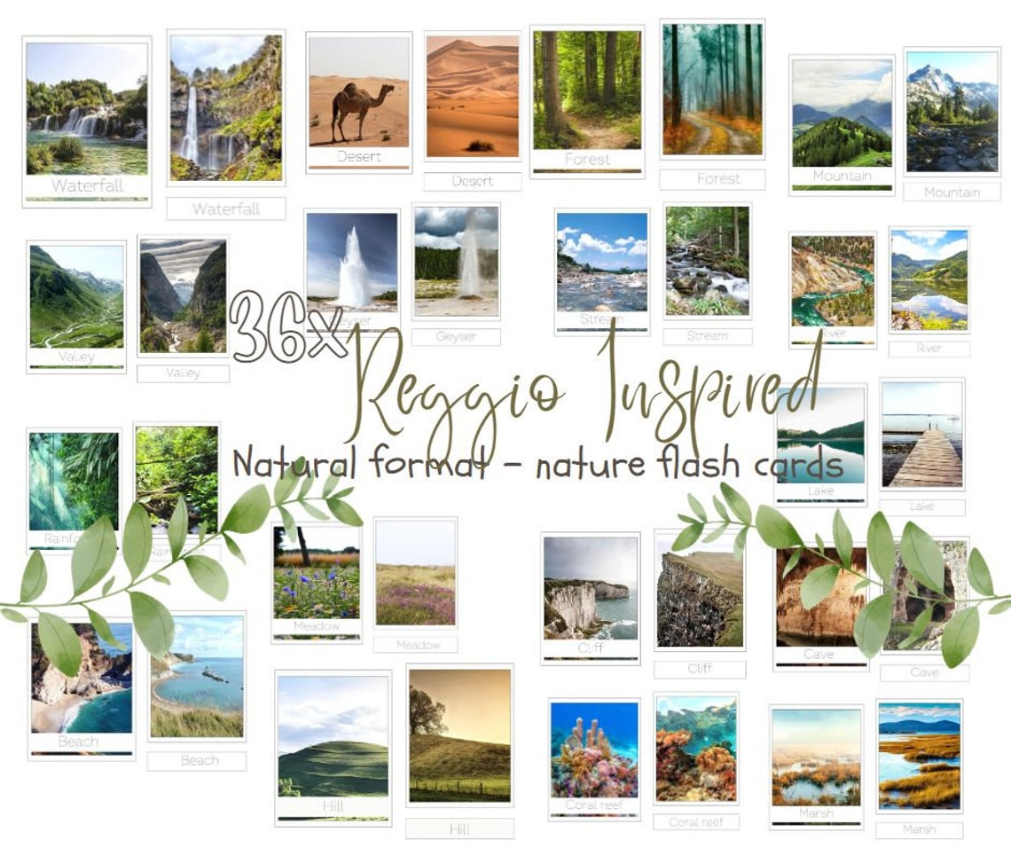 Reggio Inspired MEGA BUNDLE - Nature Classroom / Homeschool Starter ...